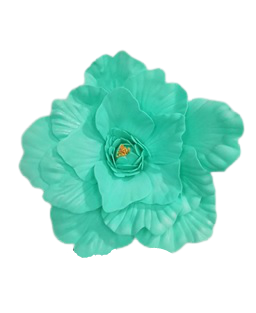 Eva Rose Flower (Star Style)| Tutuban Center - TutuBuy